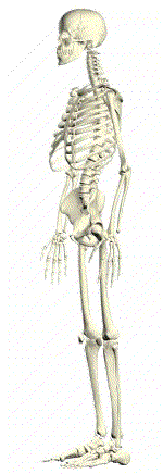 Why tuck the hips? - iNEWS