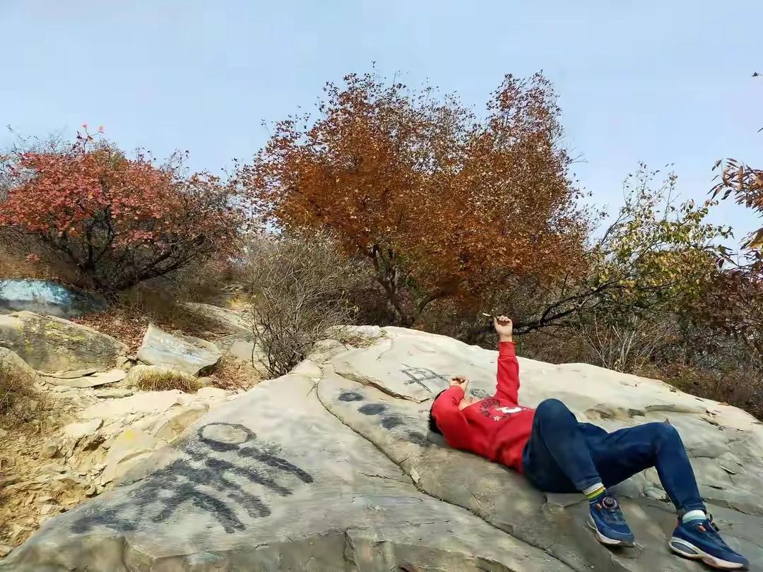 What is the largest red leaf tree in Xishan, Beijing?Pistacia - iNEWS