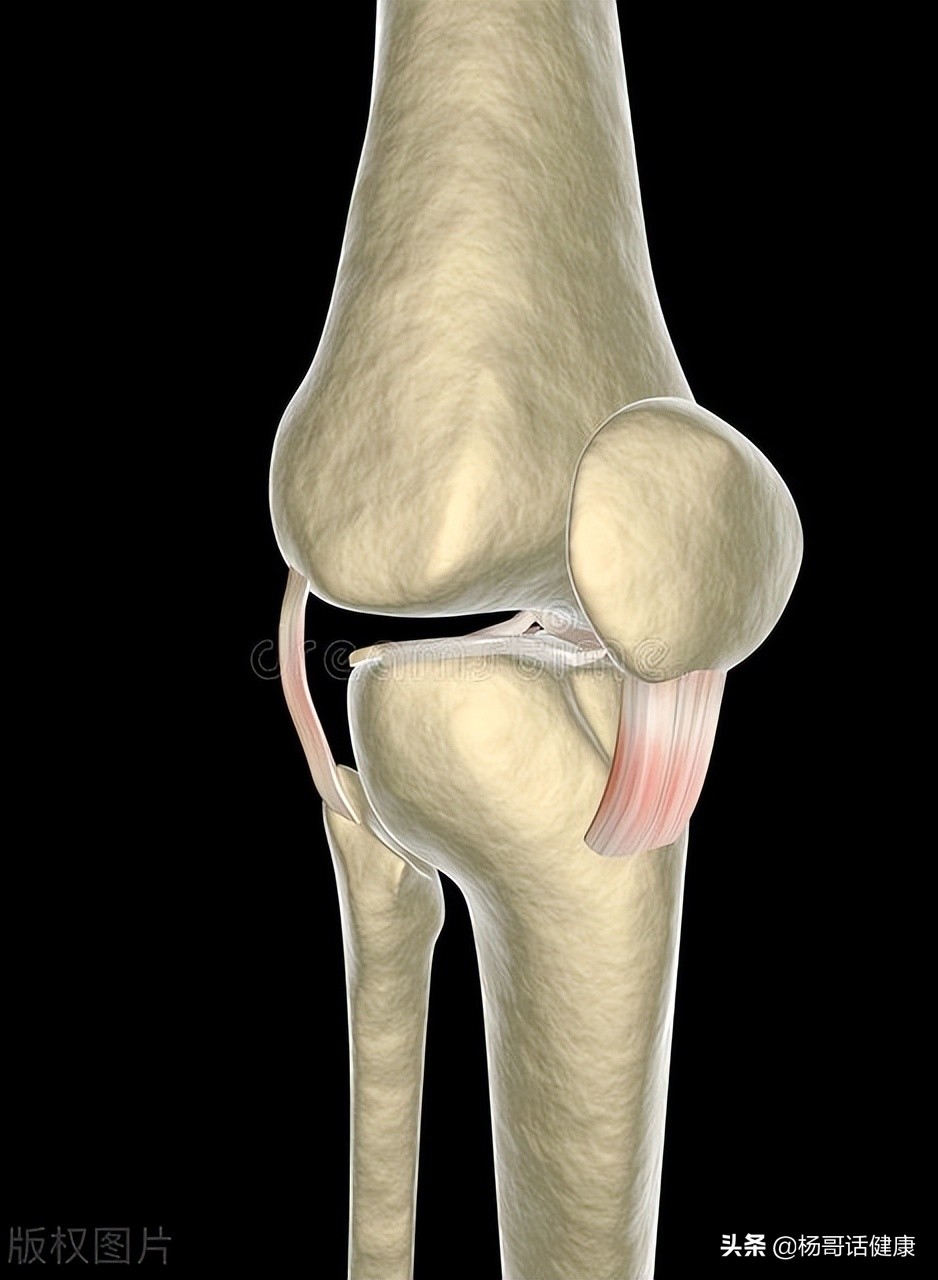 There is a strict demarcation line between surgical treatment of knee ...