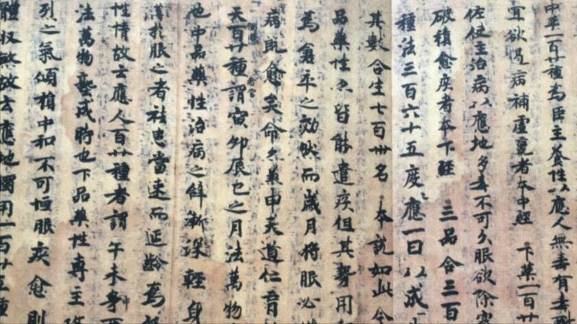Taking Dunhuang Materia Medica Scrolls as an example, gain insight into ...