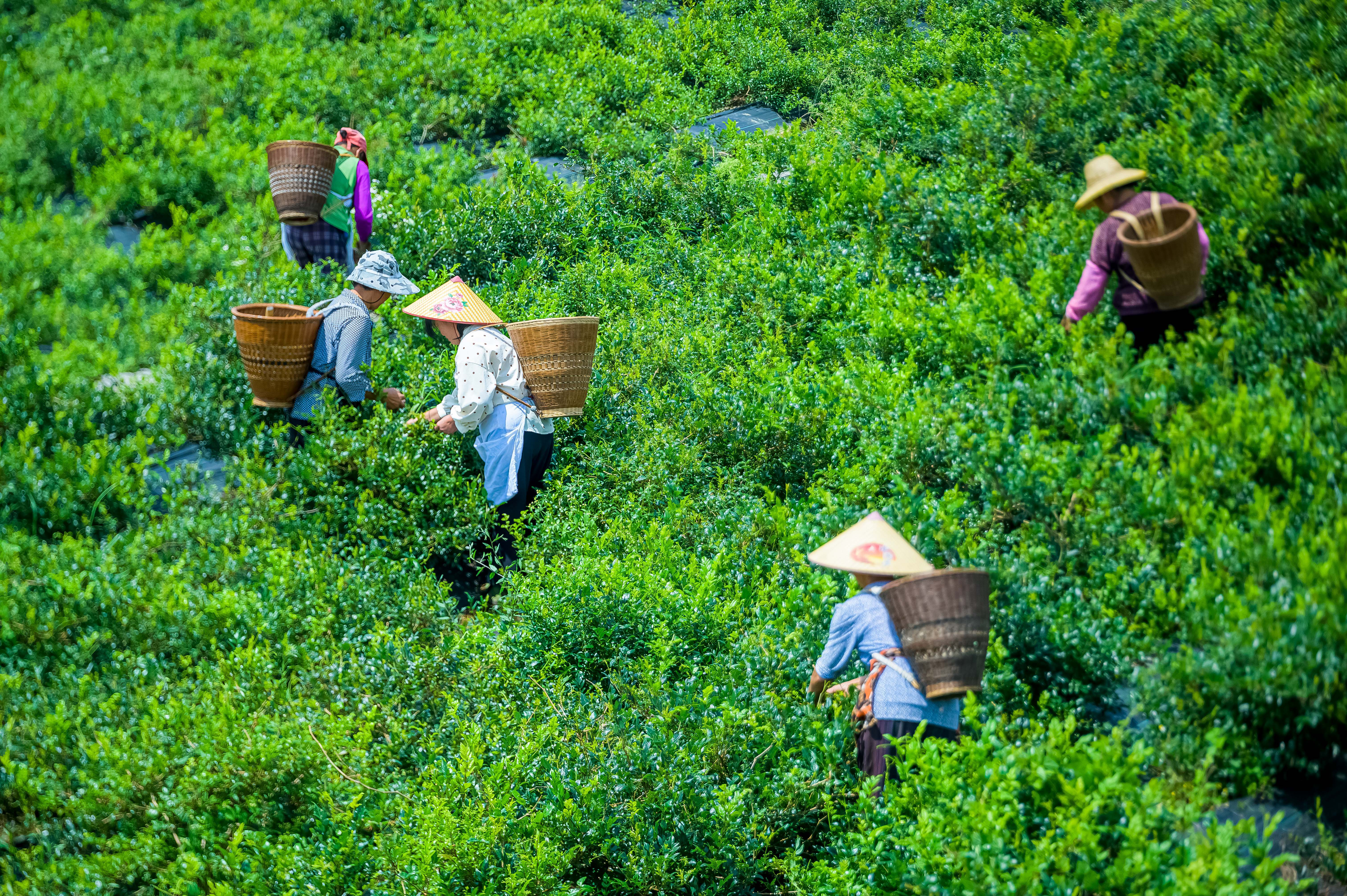 34 things to take you back to the past year of Douyin Group - iMedia