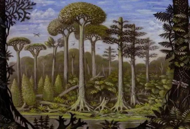 300 million years ago, neither dinosaurs nor humans were born. What was ...