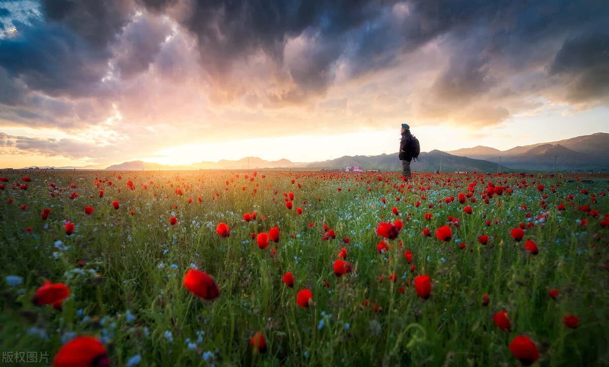 The most tiring is nothing more than a tired heart; the most bitter is ...