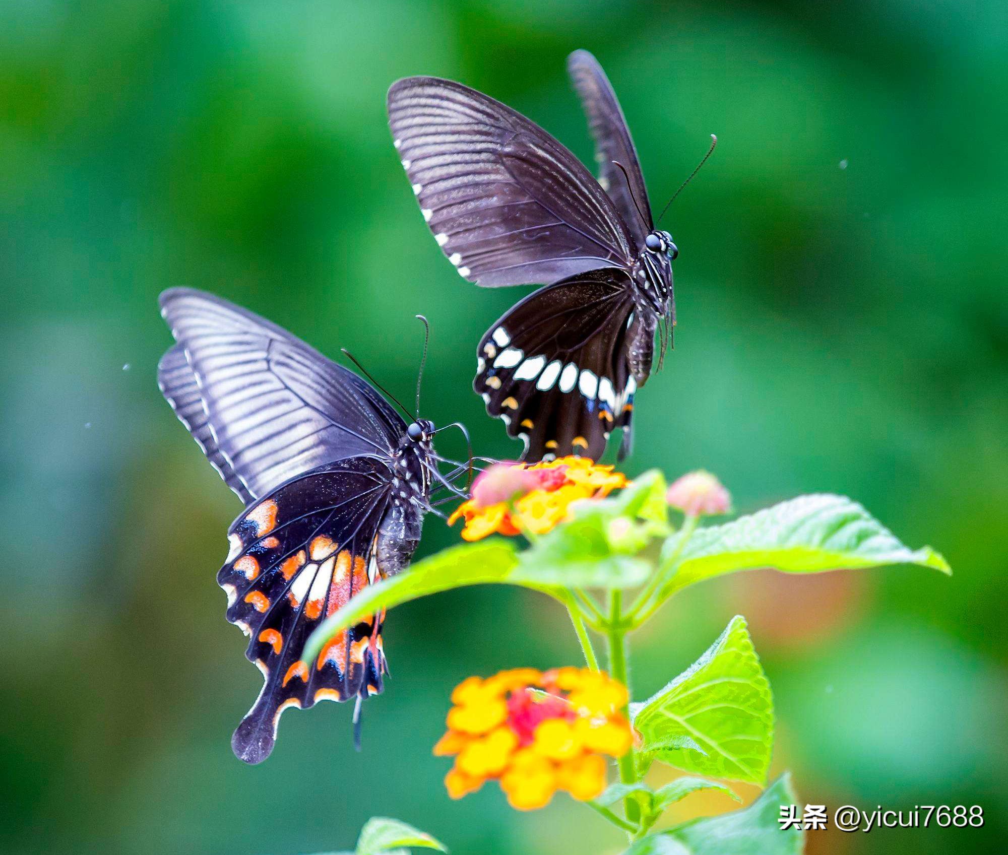 Comparing Water and Earth with Hexagrams——Detailed Explanation of the ...