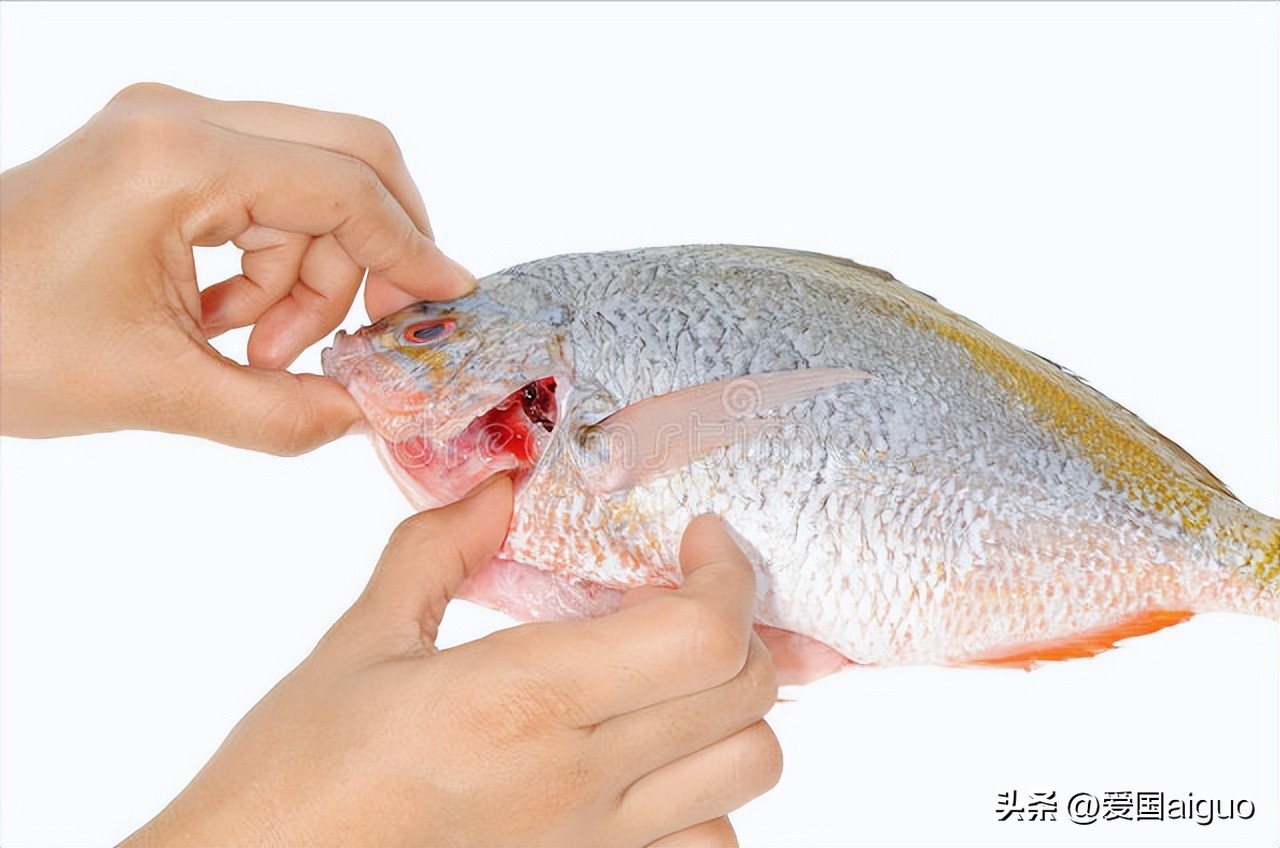 Suffering from acute gill rot disease how to do? - iNEWS