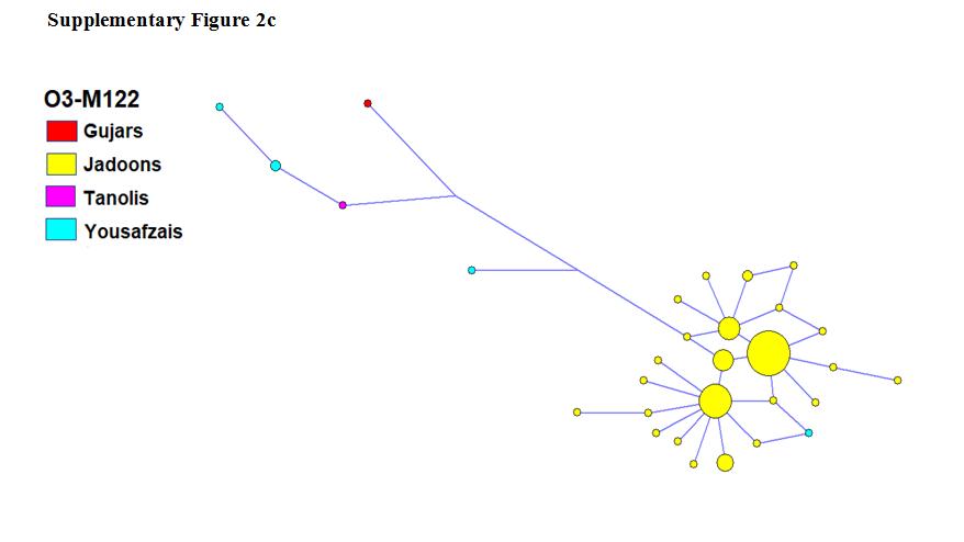 76% of the sire lines of the Jadoon tribe in the northern mountains of ...