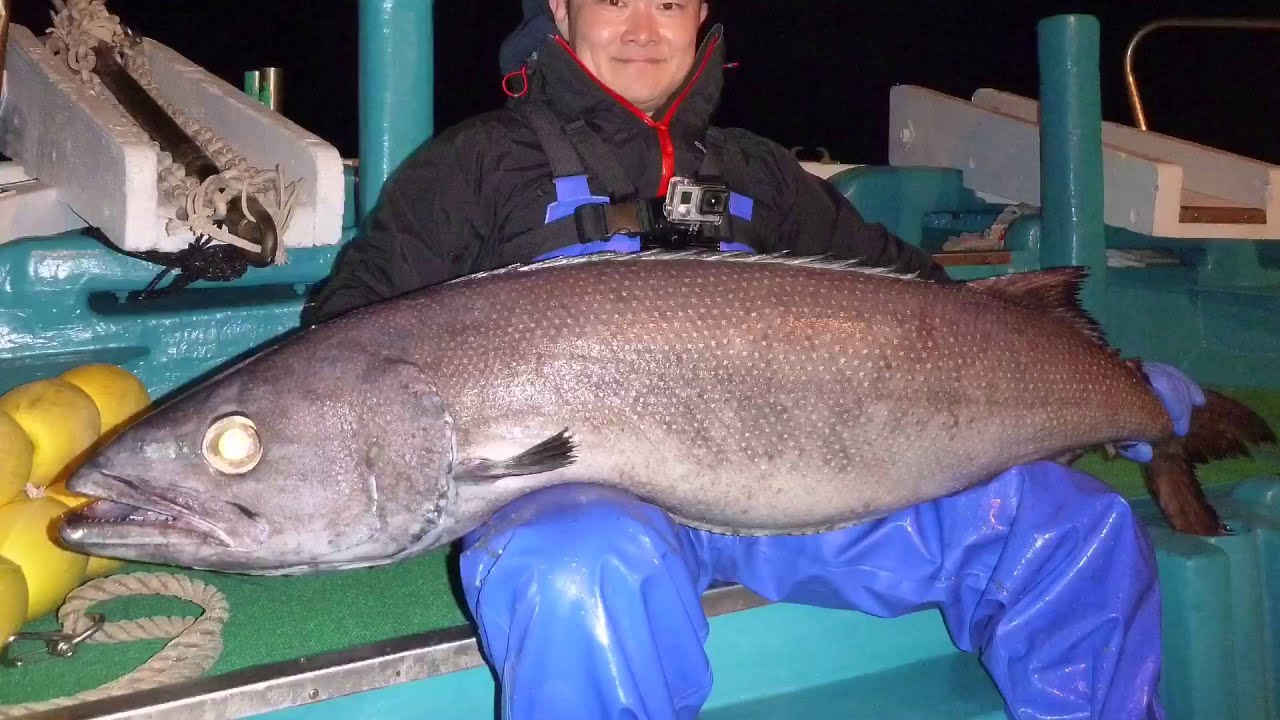 People have oily buttocks for 3 days after eating oily fish?What is the ...