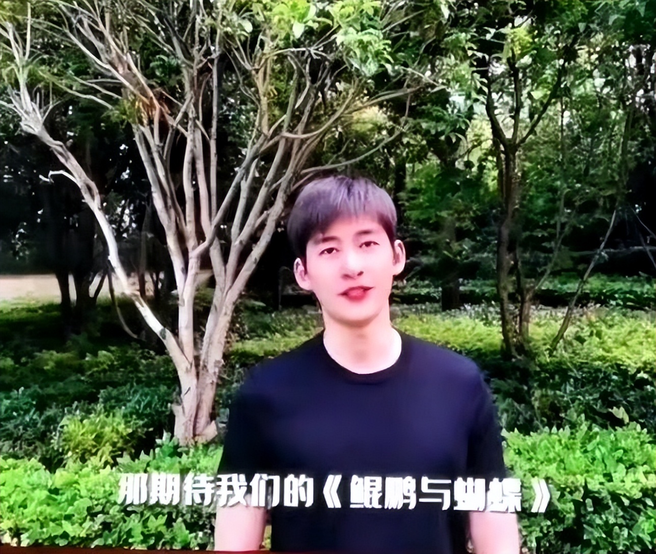 Zhang Han's new drama is about to start filming, and he will play the ...