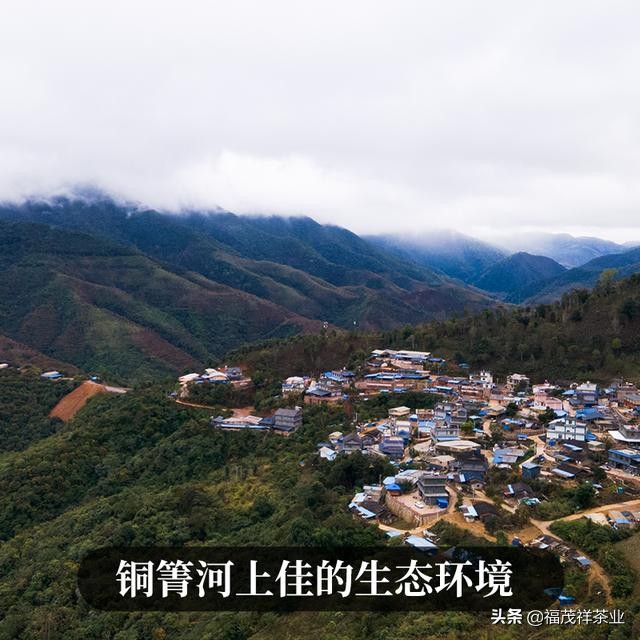 Tongqing River, wild game from the secret realm of Yiwu's deep ...