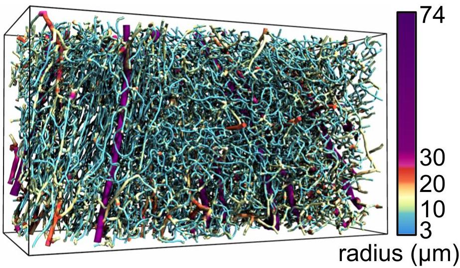 Unreal-based scientific data visualization platform - iMedia