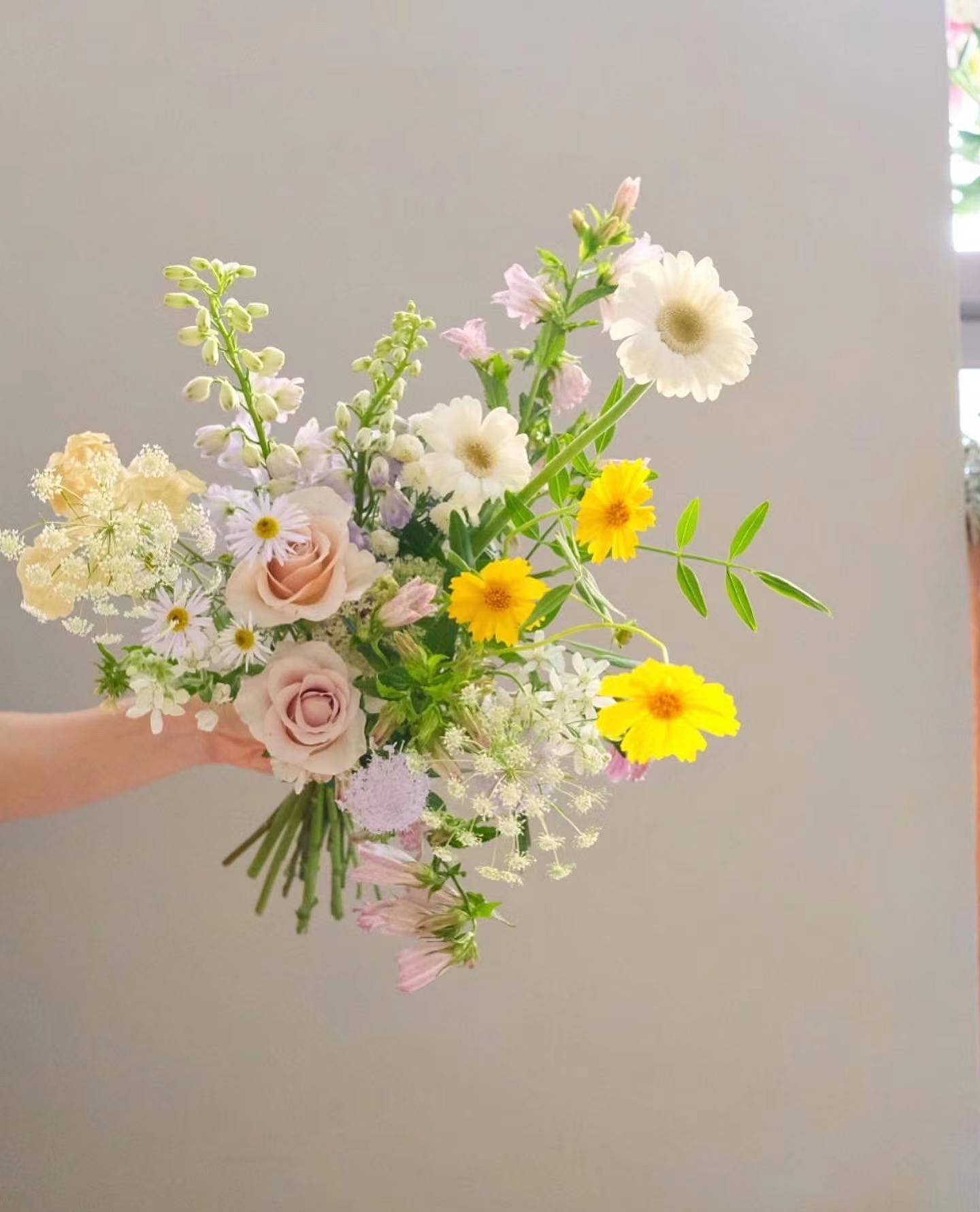 Summer fog flower use guide - iNEWS