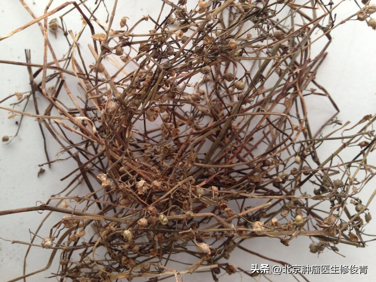 TCM treatment of chronic renal failure (damp heat and blood stasis) 1 ...