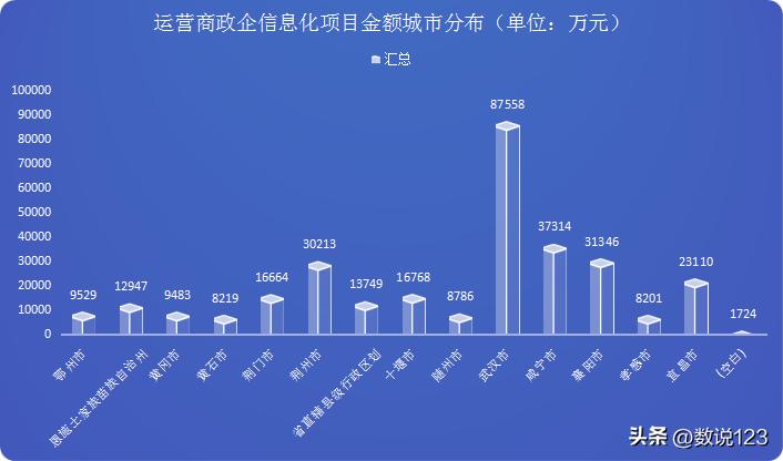 Hubei's four major operators in the first half of 2022 government and ...