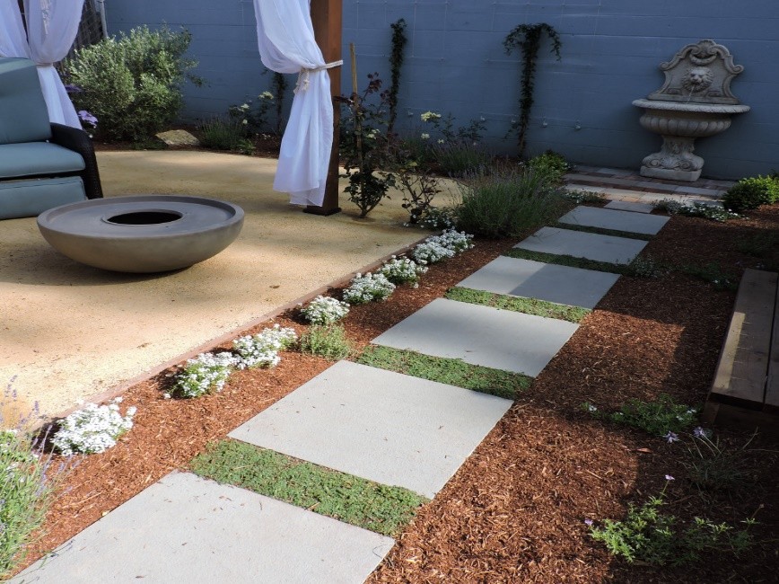 20 of your most wanted gardens, completely low-cost designs - iNEWS