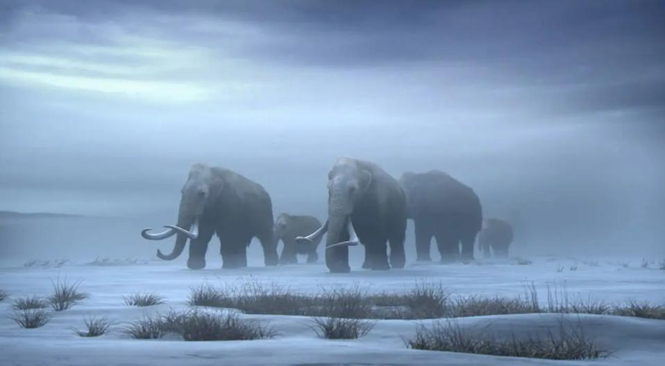 Scientists warn: There are indications that the earth may be entering ...