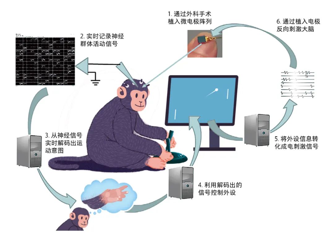 How can humans control machines with their minds? - iMedia