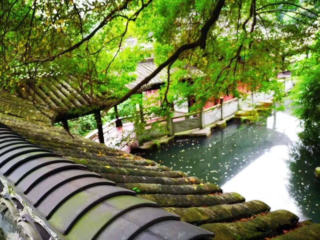 "West Shu Ziyun Pavilion, why is there such a shame?" Collect it first ...