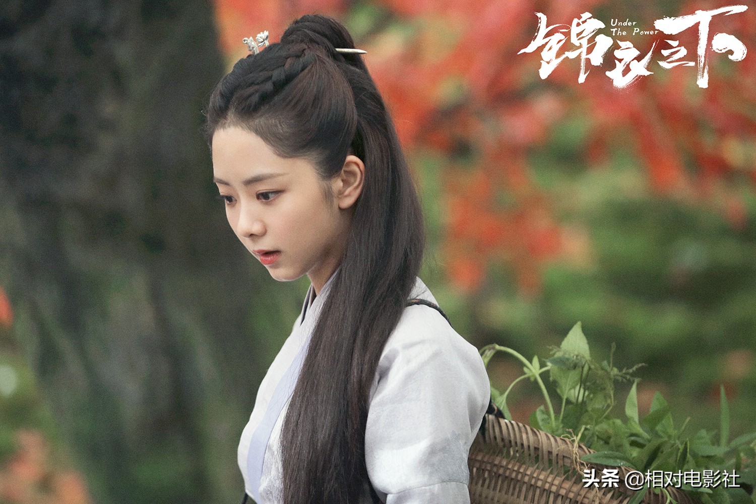 Following "Walking to the Wind", another new drama by Tan Songyun is ...