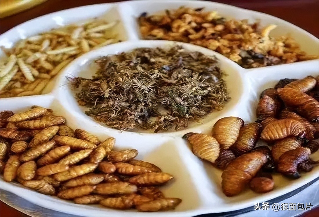 Can humans eat the earth down? - iNEWS