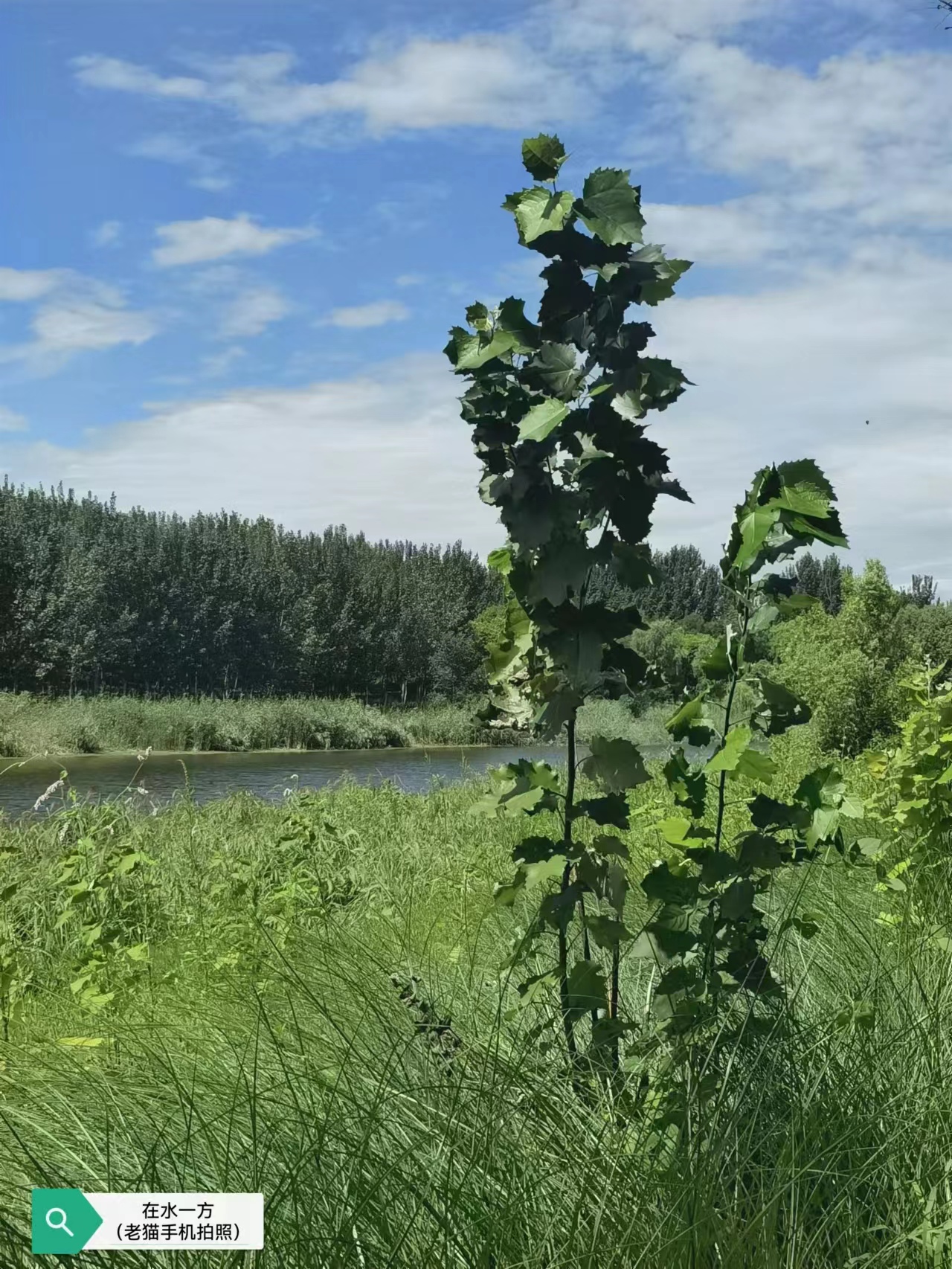 Yang Chengbin and Yang Yanhua's brother and sister group poems: 7 poems ...