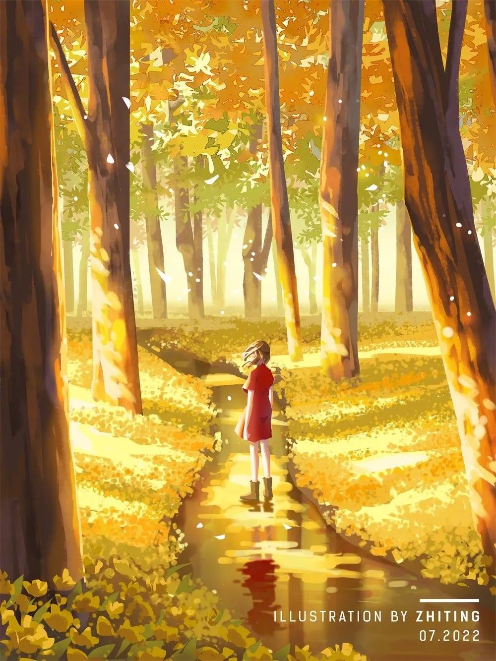 Illustrator zhiting9513 Warm healing illustrations - iMedia