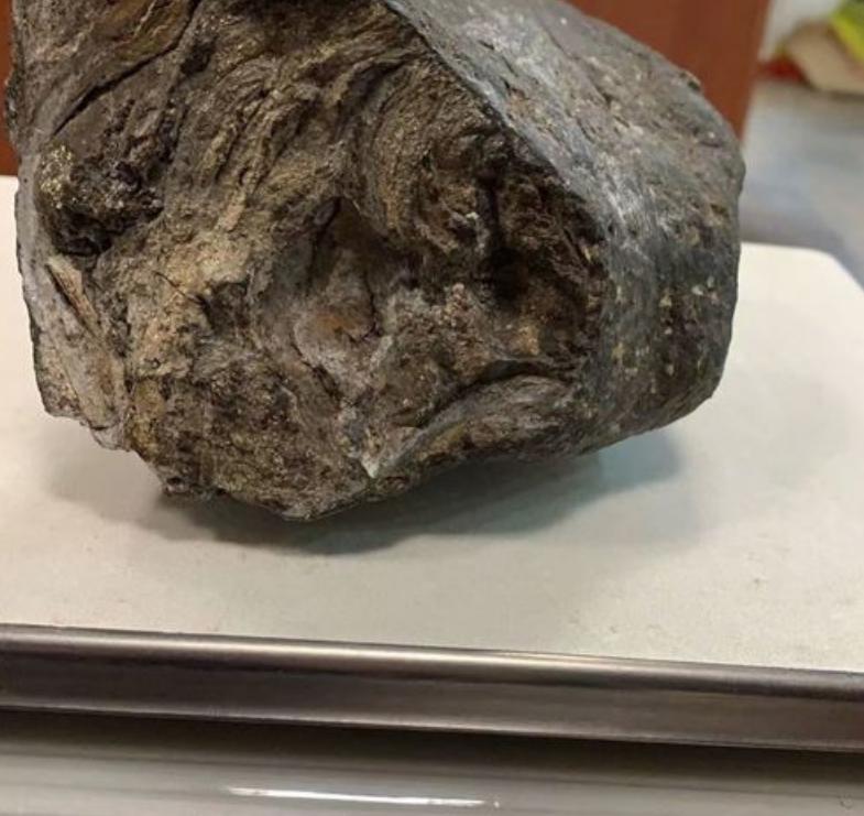 The mystery of ambergris: Why can this whale excrement sell for ...