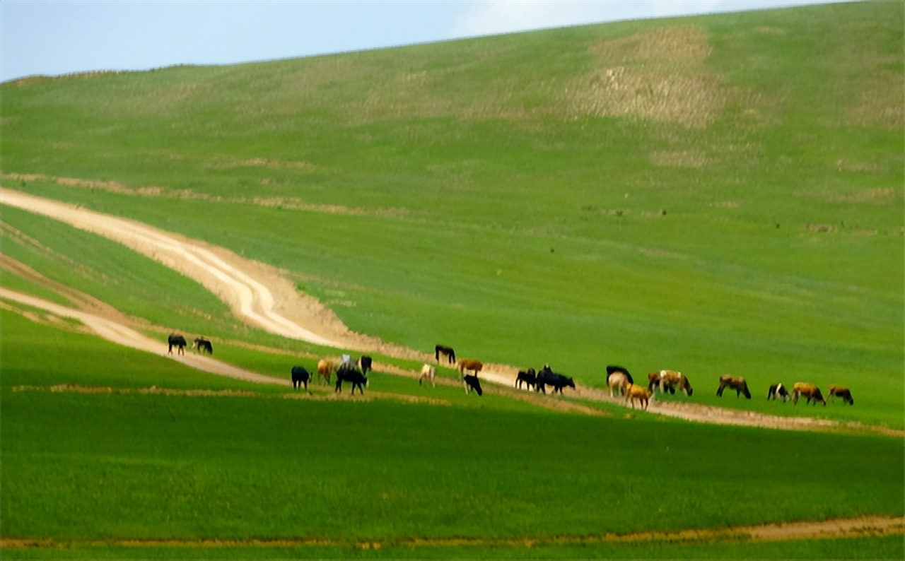 After 8 years of negotiations, Mongolia returned 40 square kilometers ...