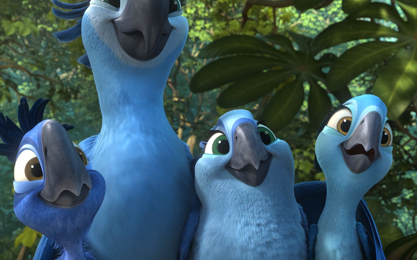 "Rio Adventure": Feel the South American Style - iNEWS