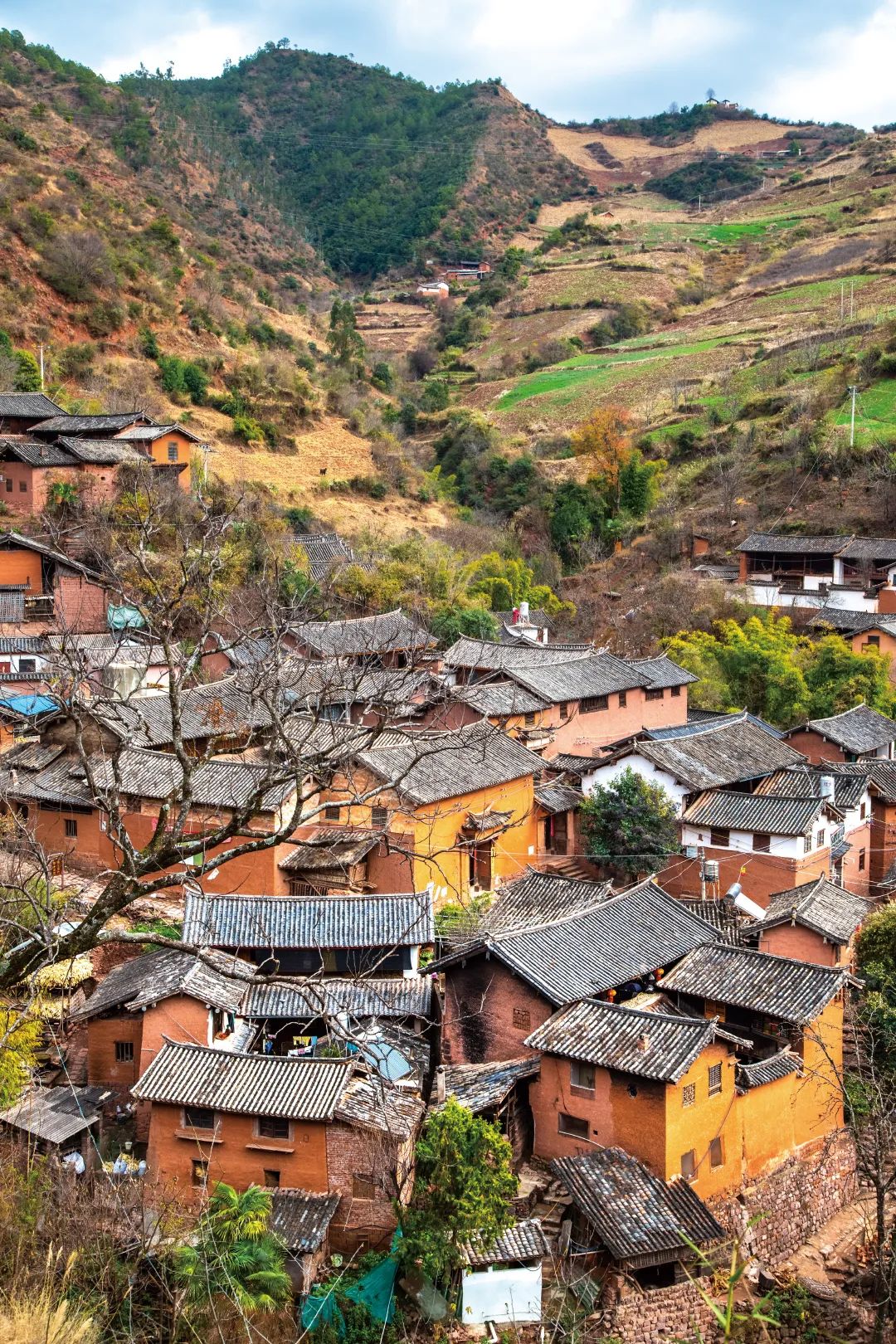 More than 60 residences - the new year is approaching, recalling the ...