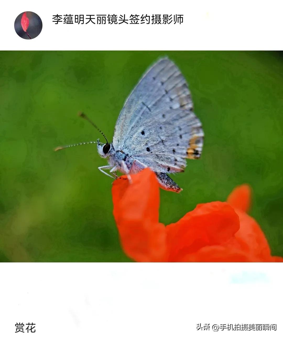 Mobile photography works enter the photography platform selection - iNEWS