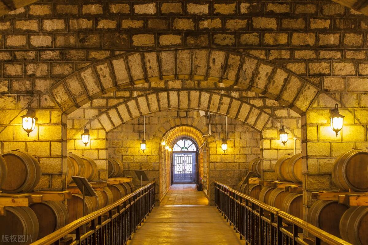 Danfeng plans to build 6 new high-standard wineries - iNEWS