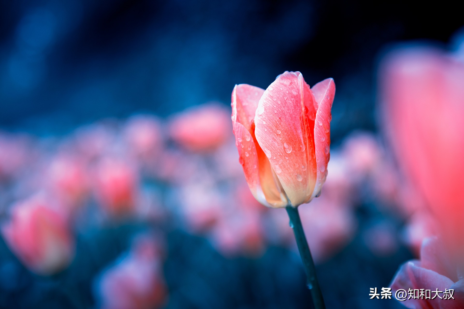 These 5 details let you see who is the most reliable person around you ...