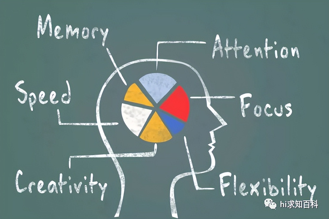 Why the Brain Erases Our Childhood Memories - iNEWS