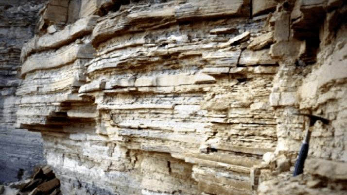 Sedimentary Environment and Geochemical Signs of Black Rock Series ...