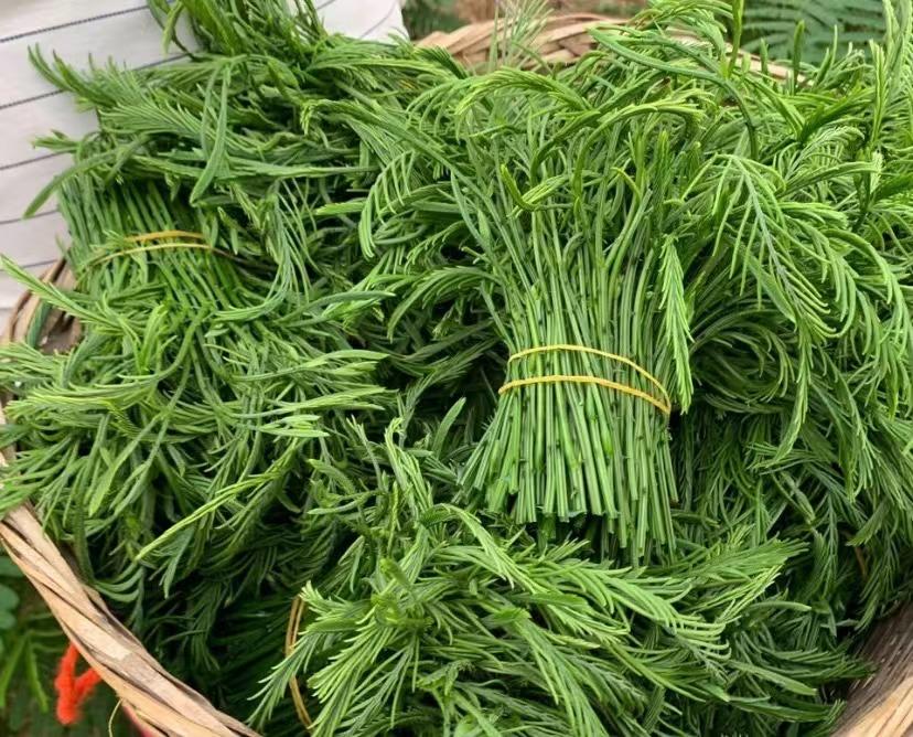 Yunnan's "Four Weird Vegetables" are all the favorites of locals, but ...