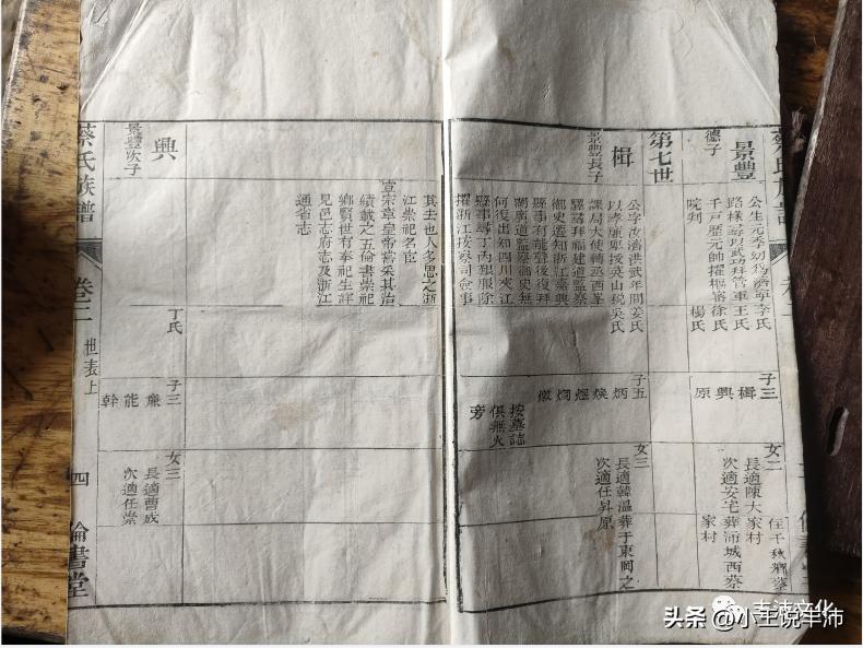 [Famous Families]Rare Qing Dynasty Gu Pei "Cai's Genealogy" - iMedia