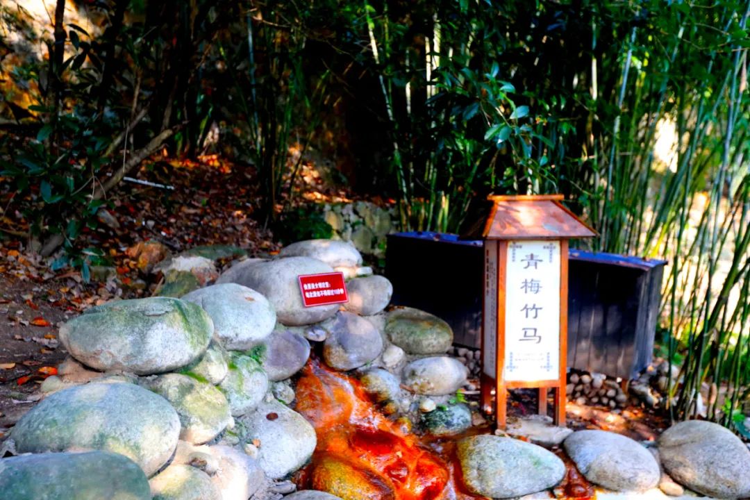 Hot soup and white snow, cooking tea around the stove, those things ...