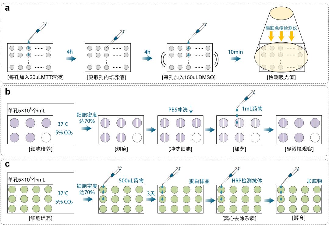 How to draw a good scientific research illustration, you need to master ...