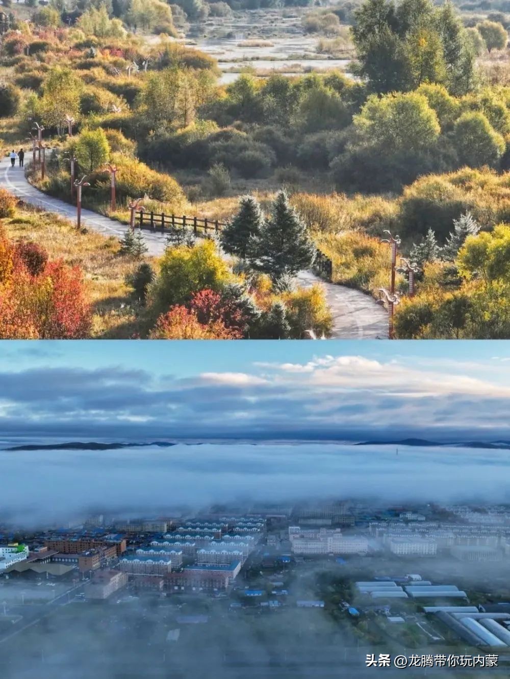 Meet the beautiful autumn in Genhe - iNEWS