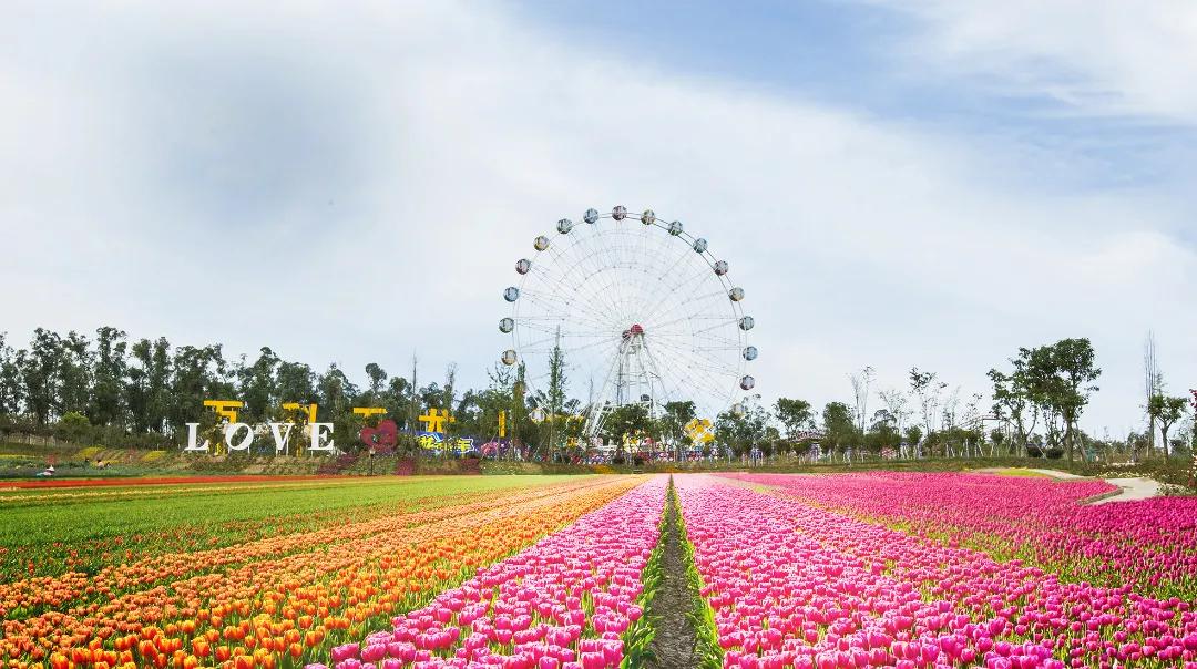 Chengdu Spring Festival check-in place - iNEWS