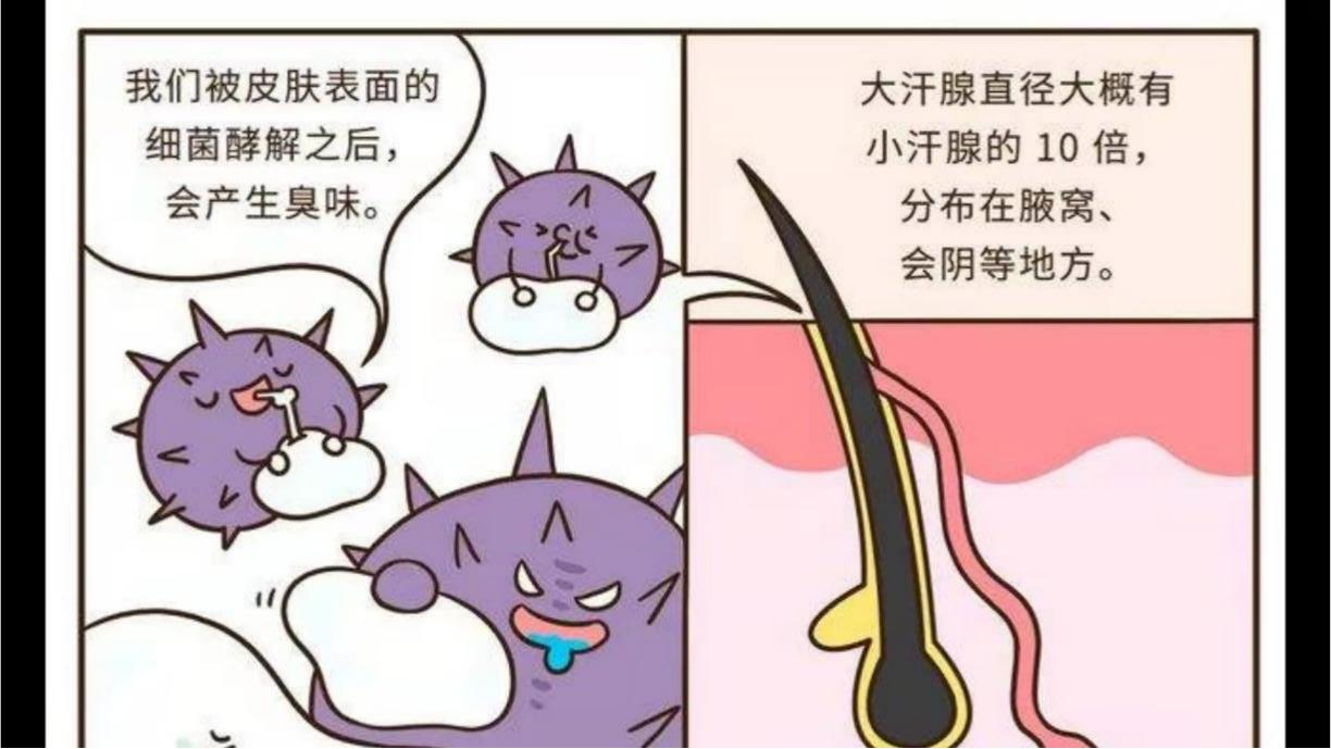 Why only whites and blacks have severe body odor, while Asians can ...