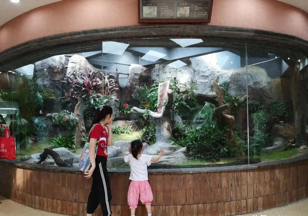 "The Rebirth of the Python: Exploring the Mysterious Journey of the ...