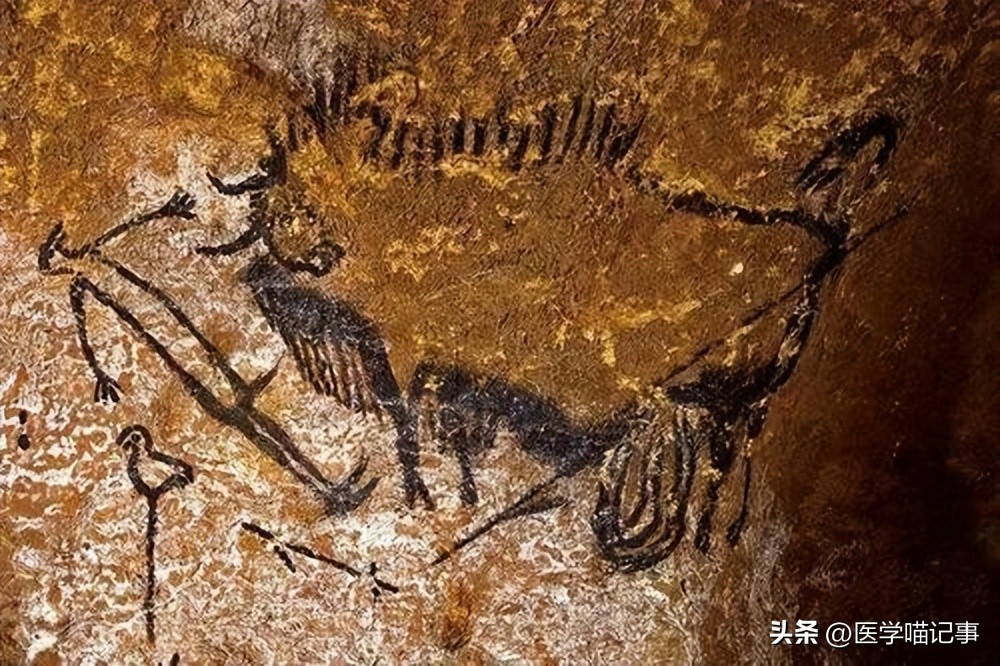 The Art of Primitive Man: Talking about Animal Images in Prehistoric ...