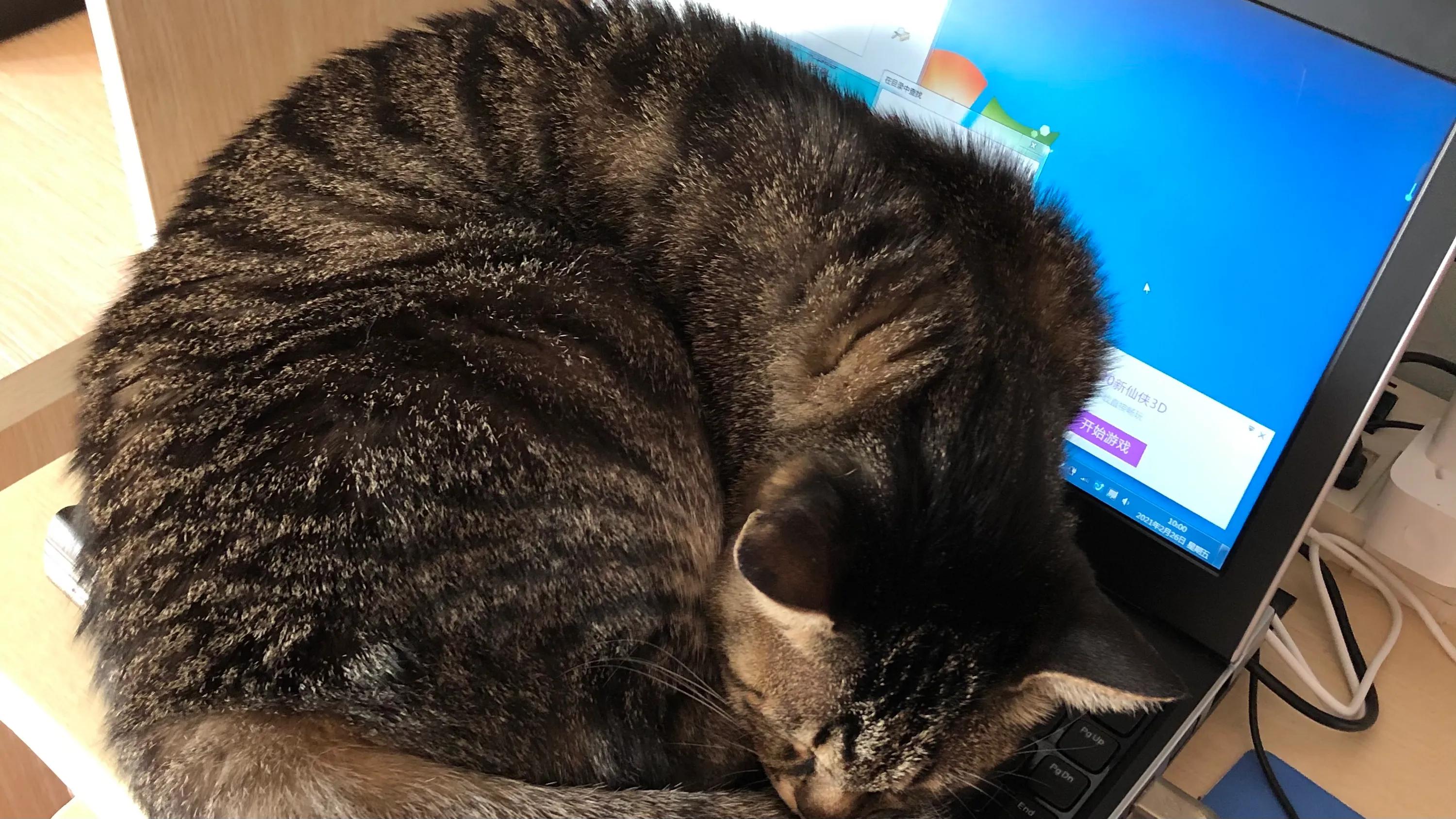 Dami: Everything can be ordered, and everything can be ordered - iNEWS