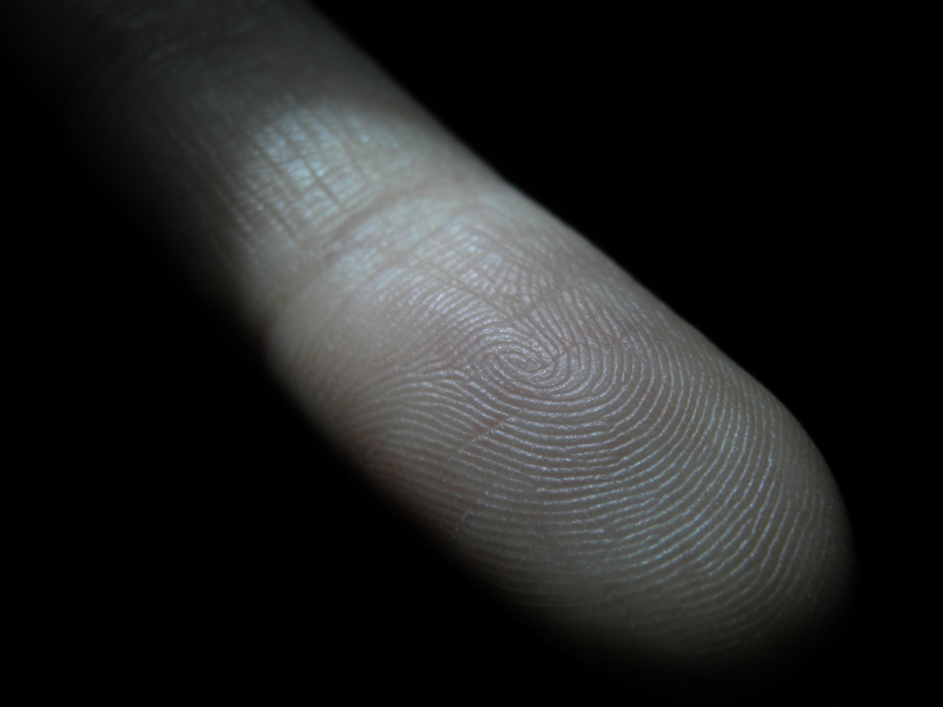 Is it possible to identify the wrong person through fingerprint ...