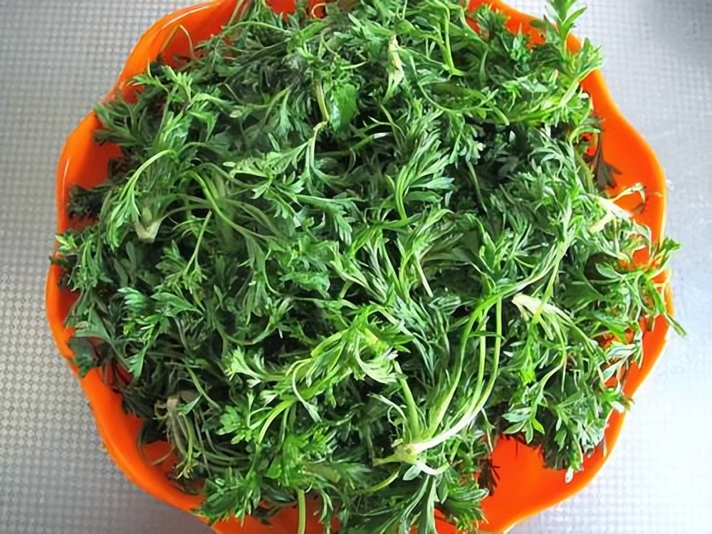 What are the manifestations of liver and gallbladder damp heat? Chinese ...