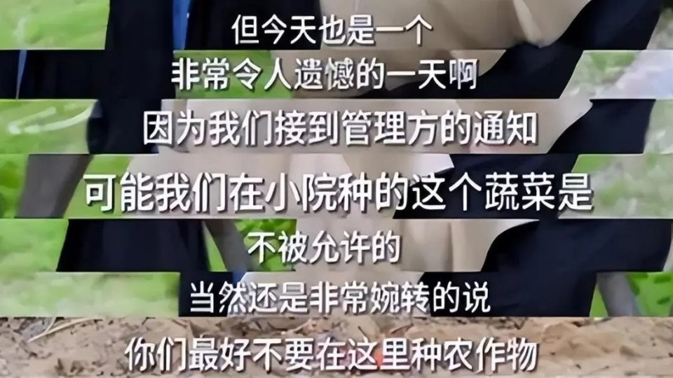 Li Yapeng was executed for 40 million yuan, the small courtyard in ...
