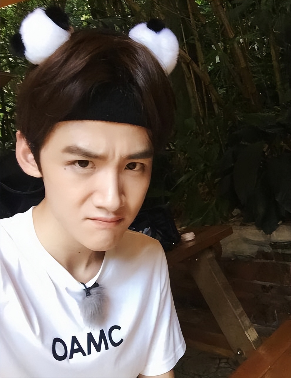 Bai Jingting's Transformation Road: From a docile Xiaobai to a meme ...