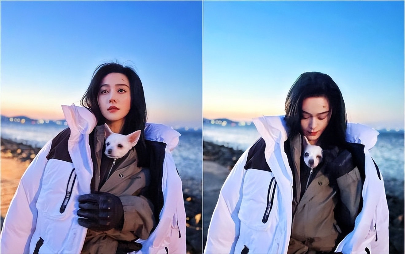 Zhang Ziyi was forced to marry Wang Feng?Zeng Huaqian is applying for a ...
