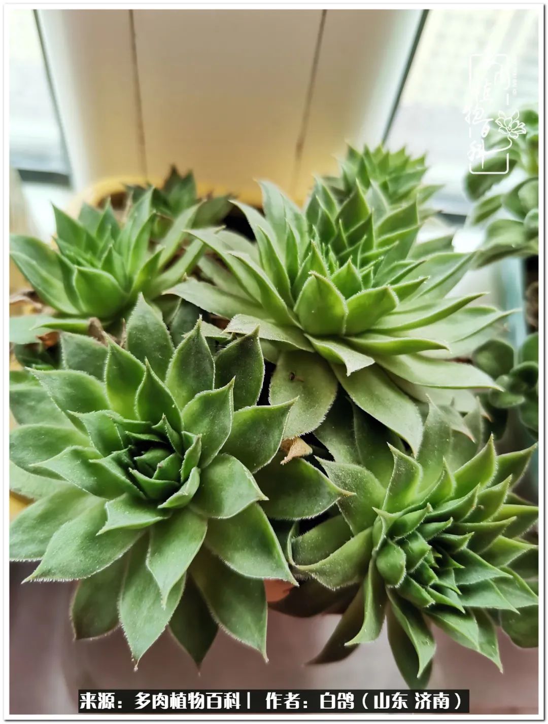 Autumn is here, should you fill your pots? - iNEWS